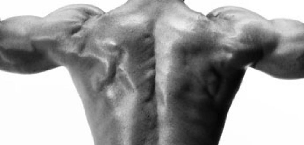 This Shoulder Exercise is Done In Many NFL Weight Rooms - Training ...